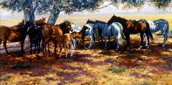 Steve Devenyns Fine Art and Limited Edition Prints