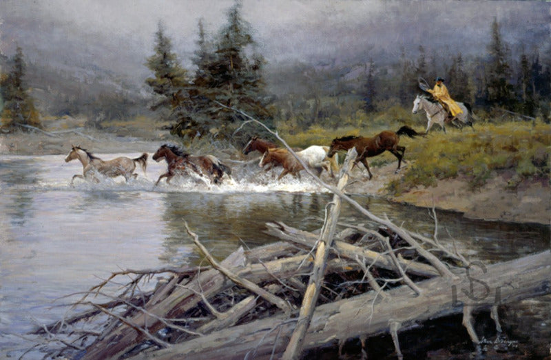 "Wet and Wild" – Steve Devenyns Fine Art and Limited Edition Prints